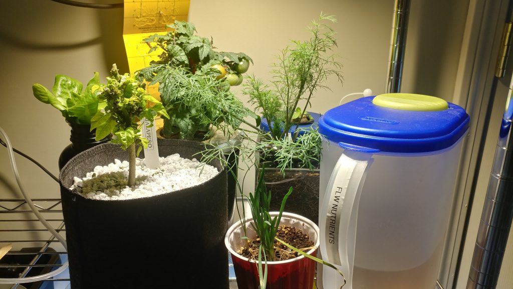 General Hydroponics in Kratky | Curious Cultivations