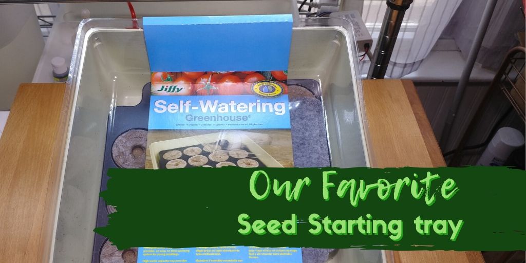Our Favorite Germination Trays | Curious Cultivations